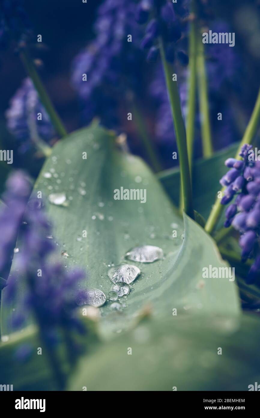 Spring big water hi-res stock photography and images - Alamy