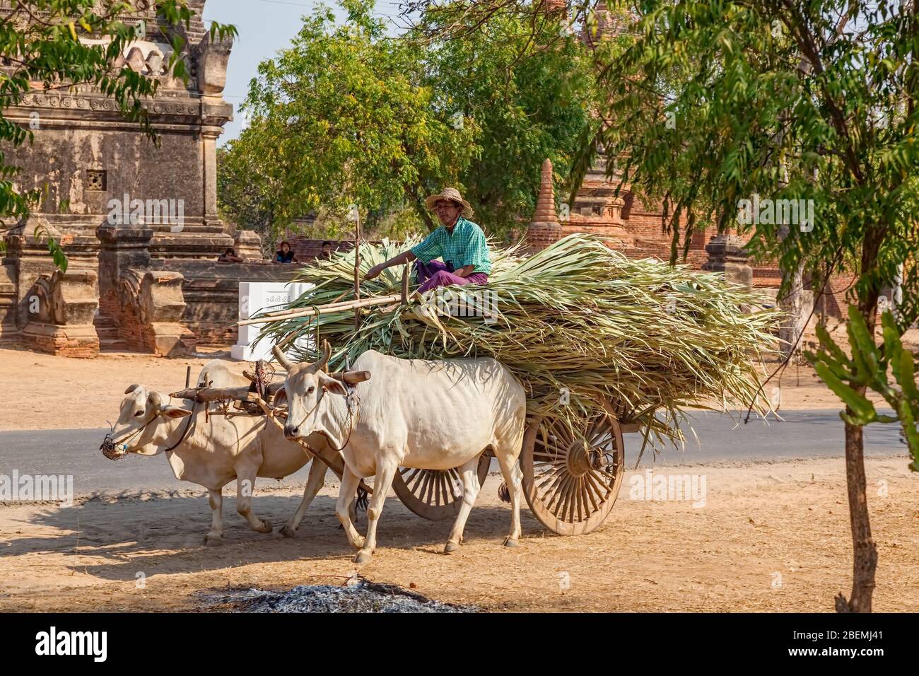 Farmer bullock cart hi-res stock photography and images - Alamy