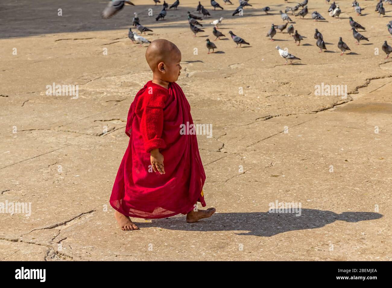 Portrait of a little monk Stock Photo - Alamy