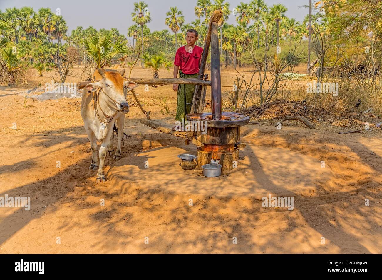 Primitive agriculture hi-res stock photography and images - Alamy