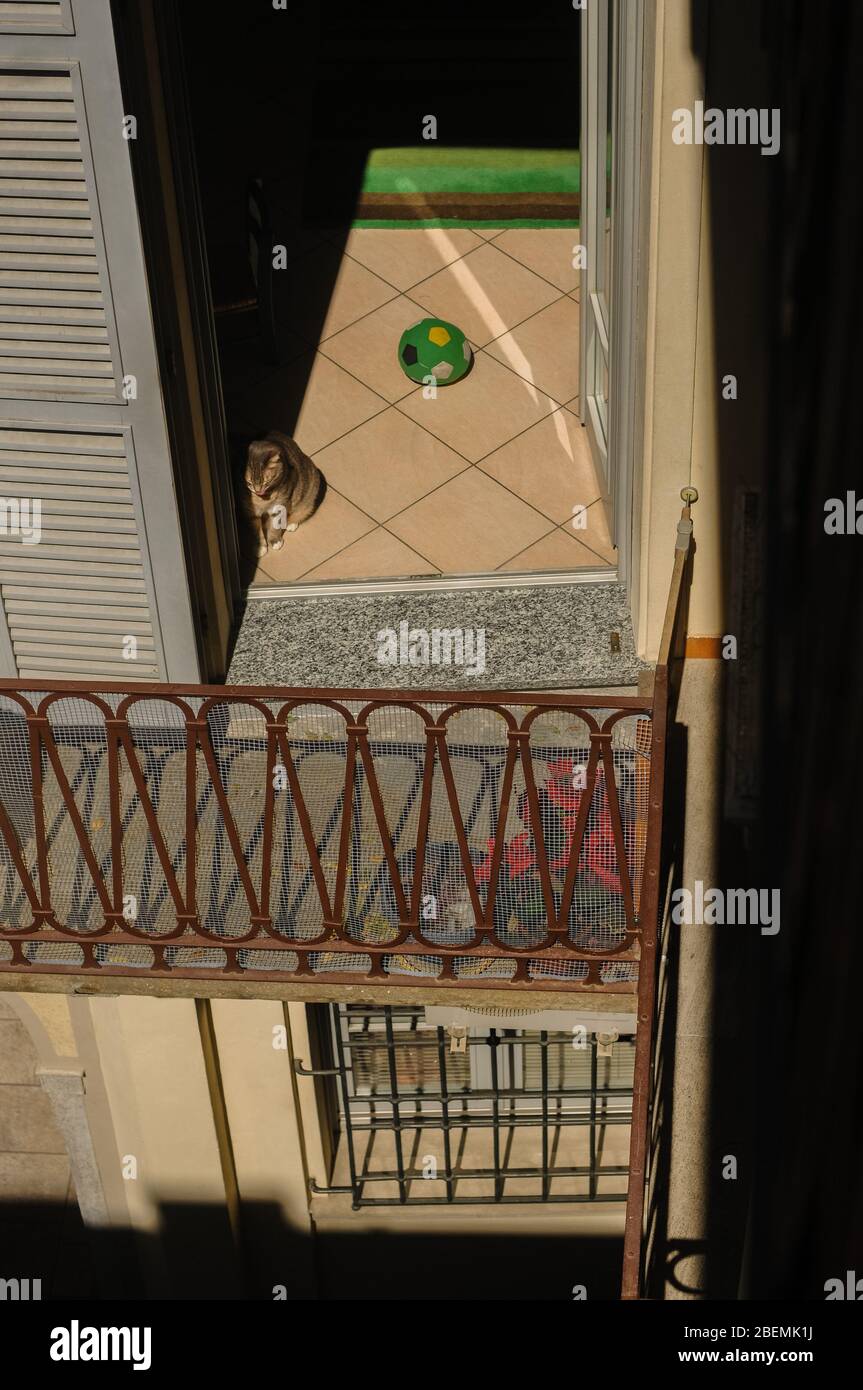 everyday at home during 2020 lockdown due to pandemy Stock Photo - Alamy