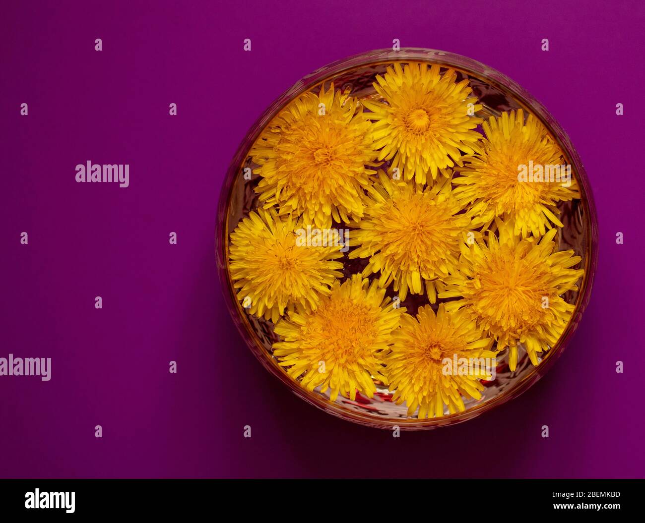 Floating wildflowers hi-res stock photography and images - Alamy