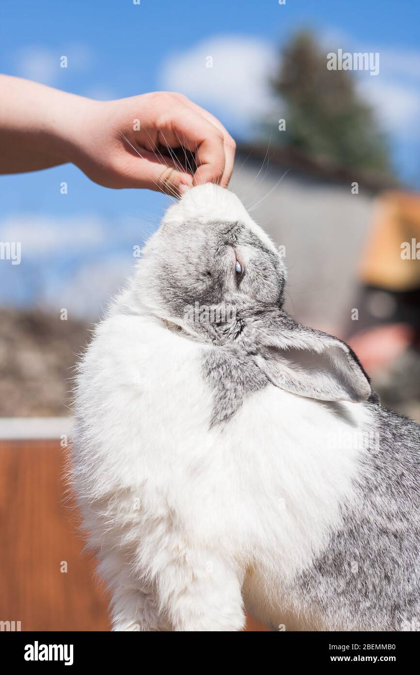 Owner hand hi-res stock photography and images - Alamy