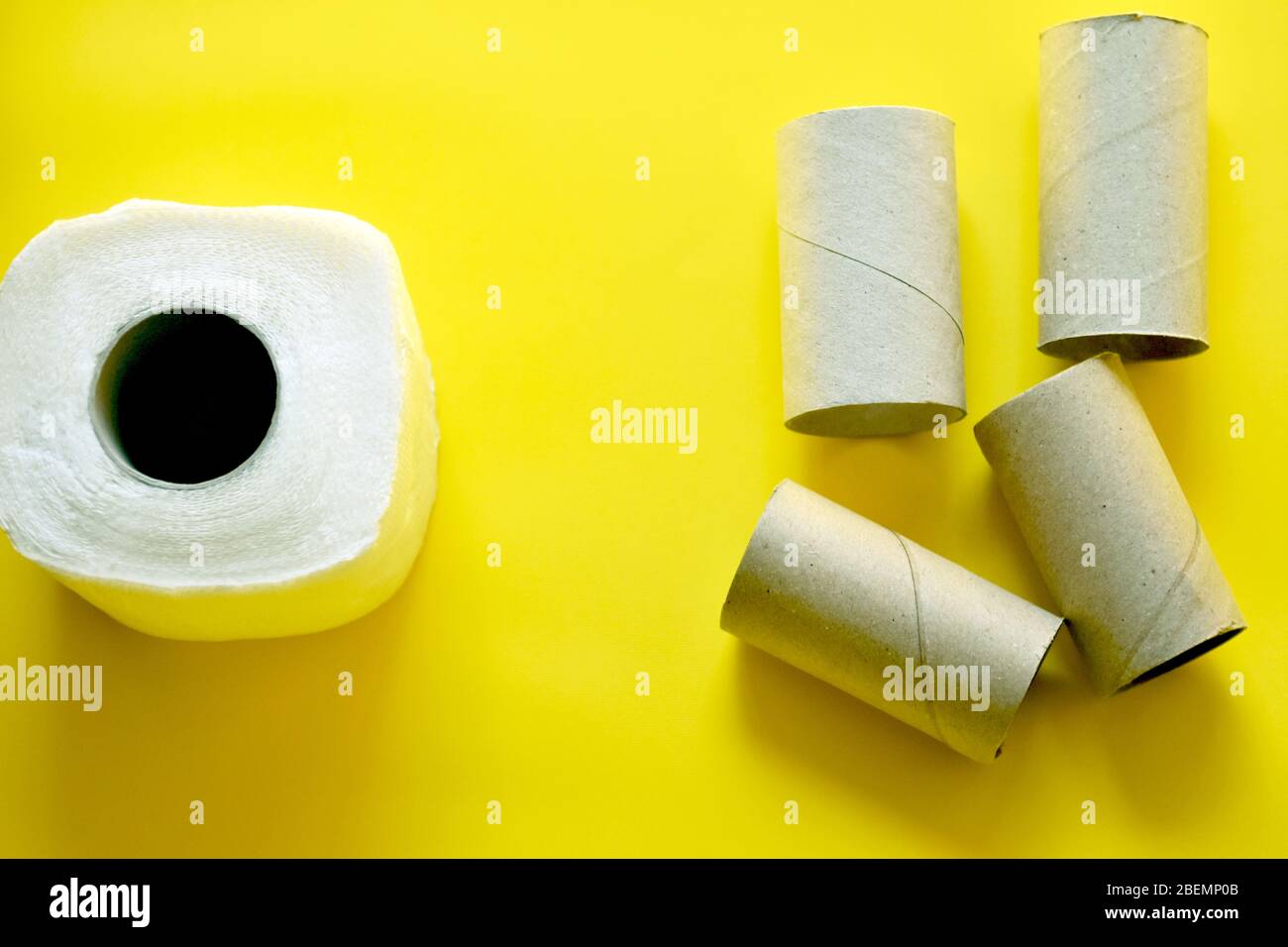 Top view of toilet paper roll and paper tubes on yellow background ...
