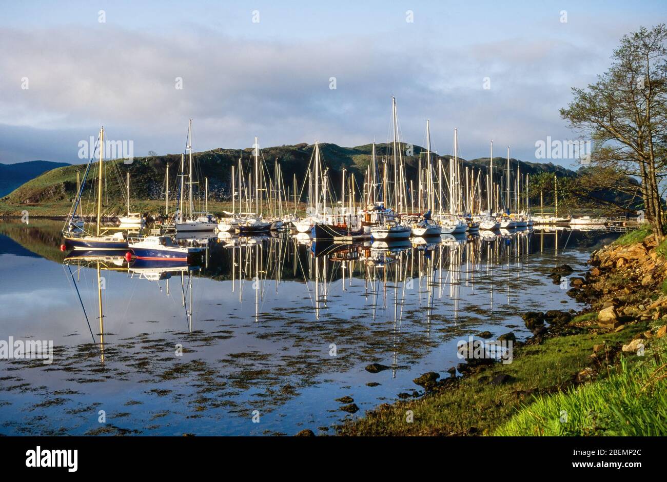 Sailing boats & yachts moored in Ardfern Yacht Centre Marina with ...