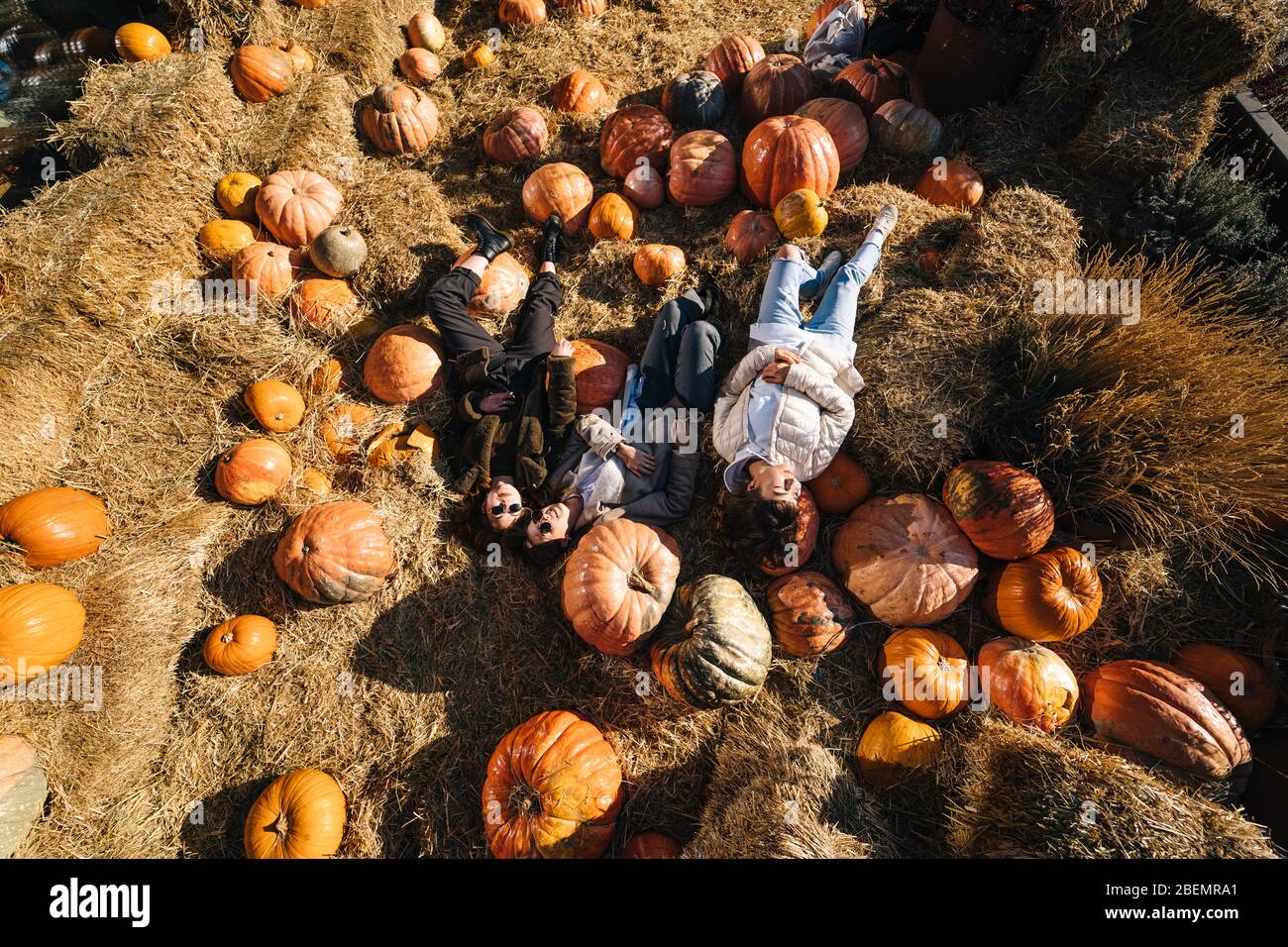 Outdoor haystacks with pumpkins hi-res stock photography and images - Alamy