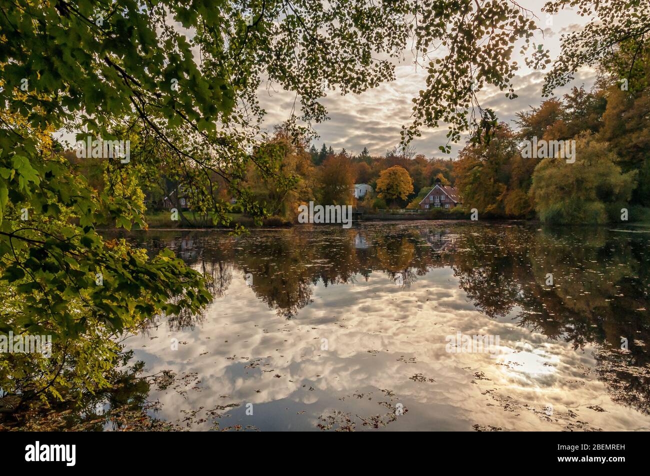 Lake in the Duvenstedter Brook nature reserve in Hamburg Stock Photo ...