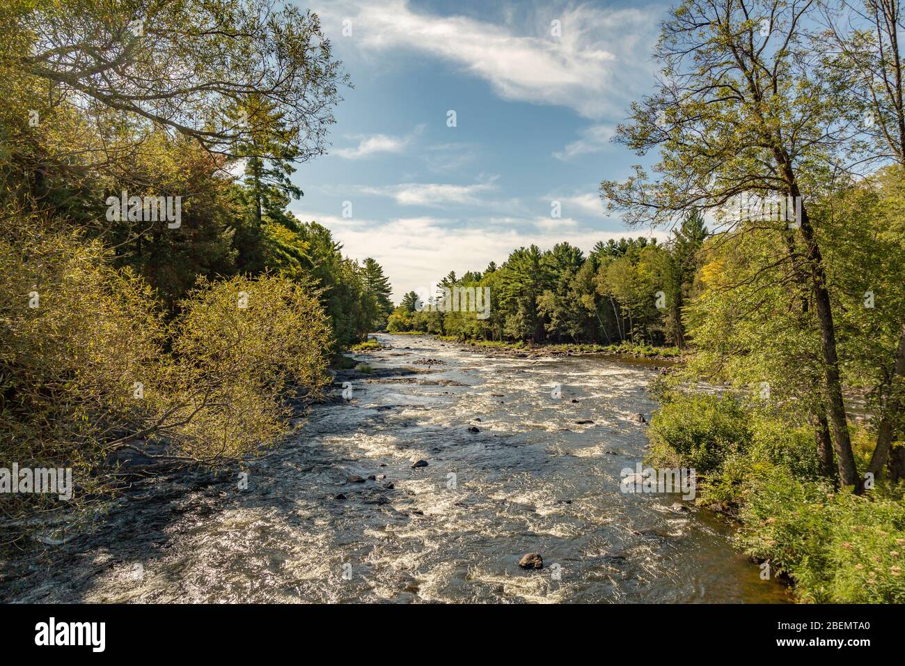 River with rapids surrounded by evergreen trees on an early summer ...