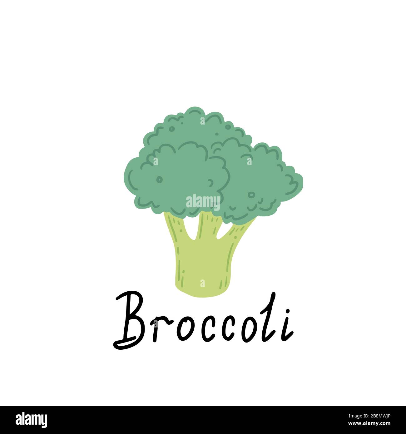 Broccoli vector illustration isolated. Concept of healthy food ...