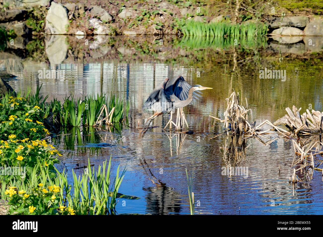 Devonian harbour park hi-res stock photography and images - Alamy