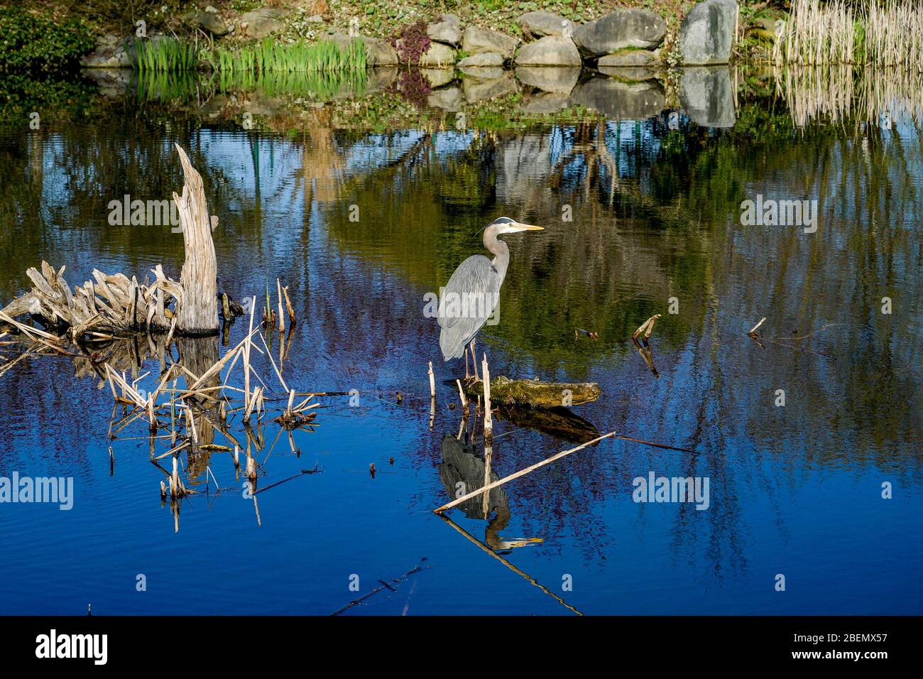 Devonian harbour park hi-res stock photography and images - Alamy