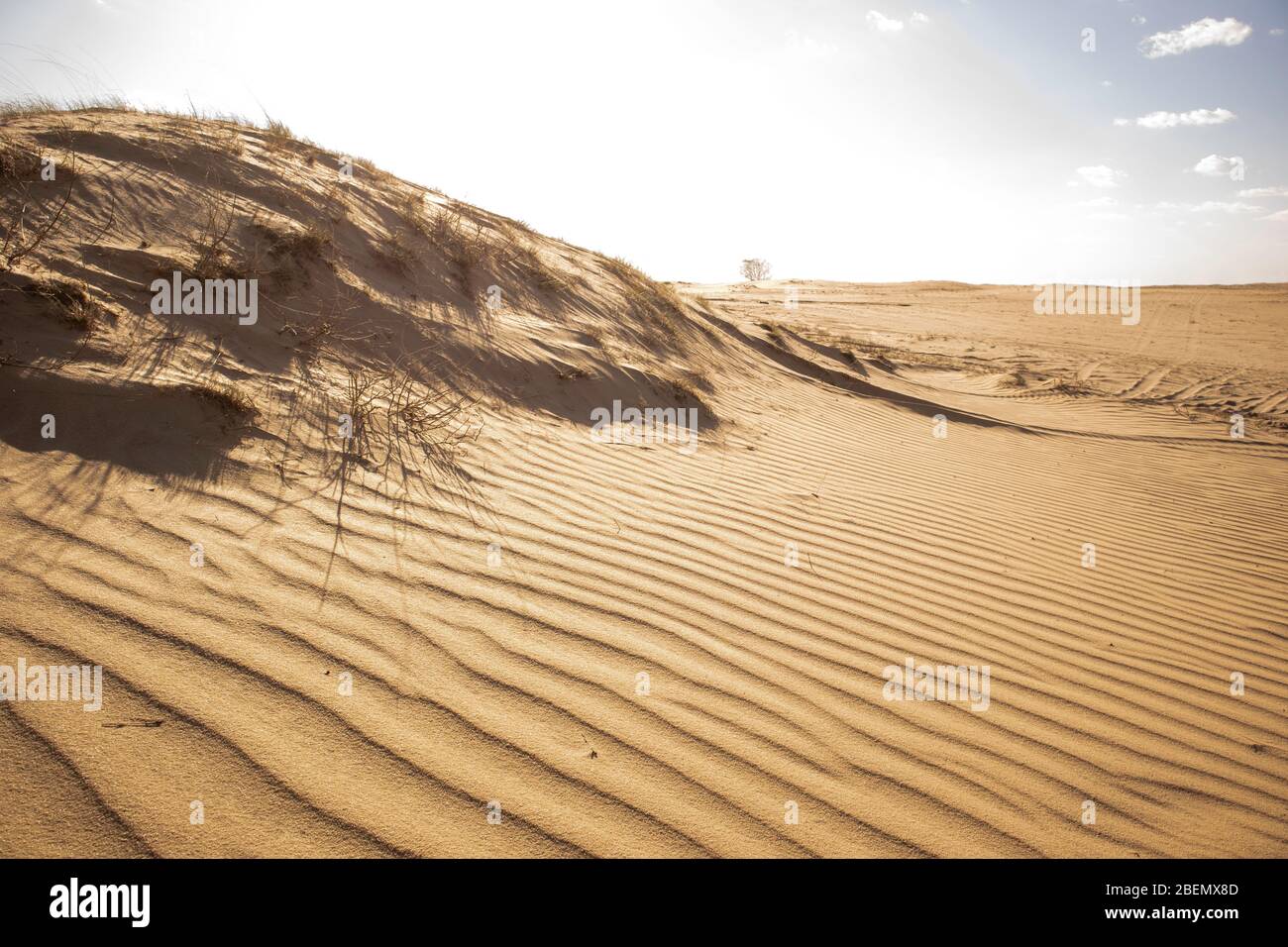 Sand waves in the desert. Sand texture. Kharkov, Ukraine. Ukrainian ...