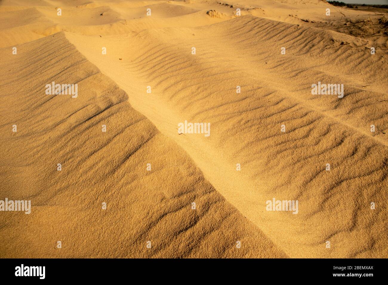 Sand waves in the desert. Sand texture. Kharkov, Ukraine. Ukrainian ...