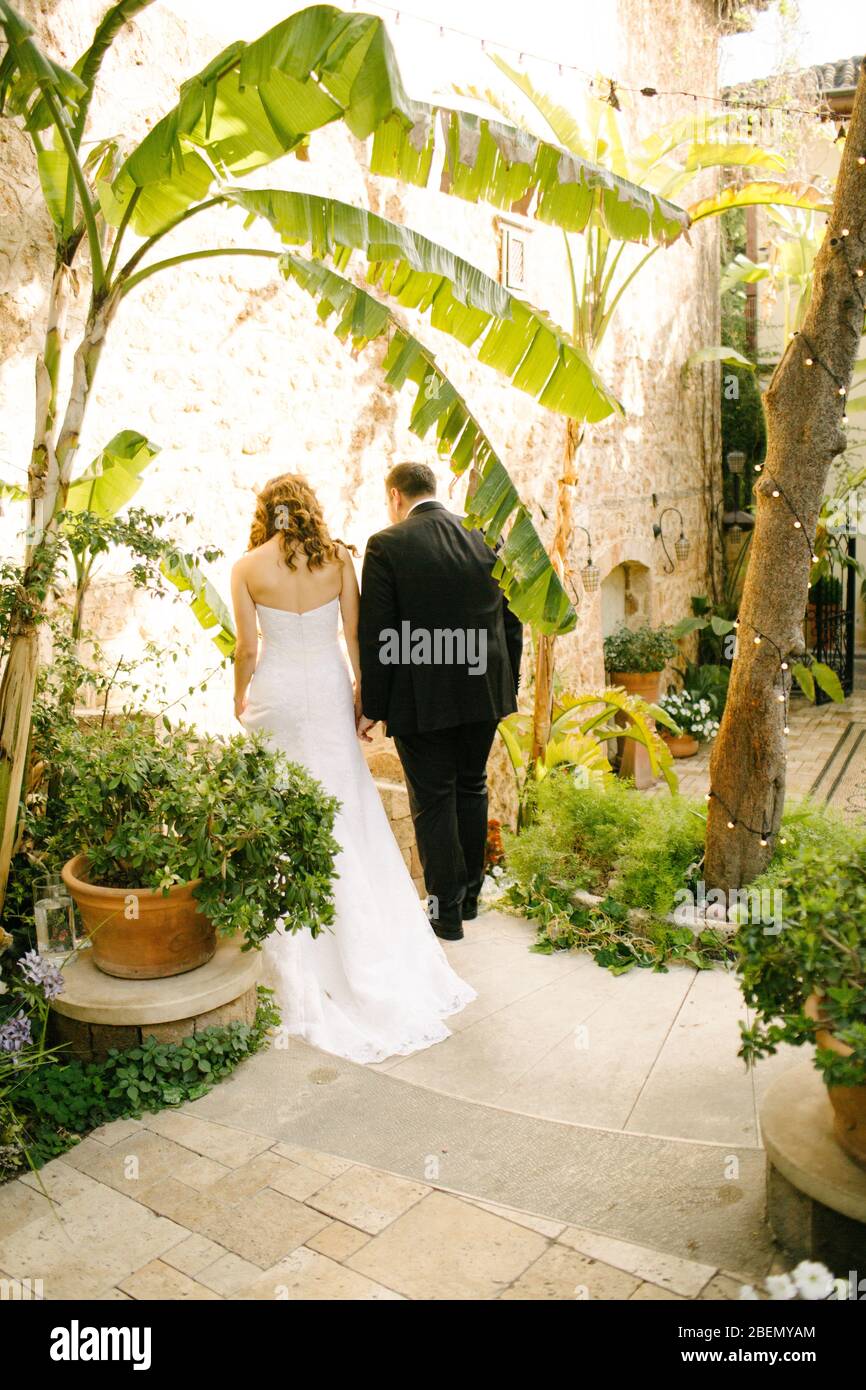 The bride and groom walk side by side and hand in hand. Shooting of ...
