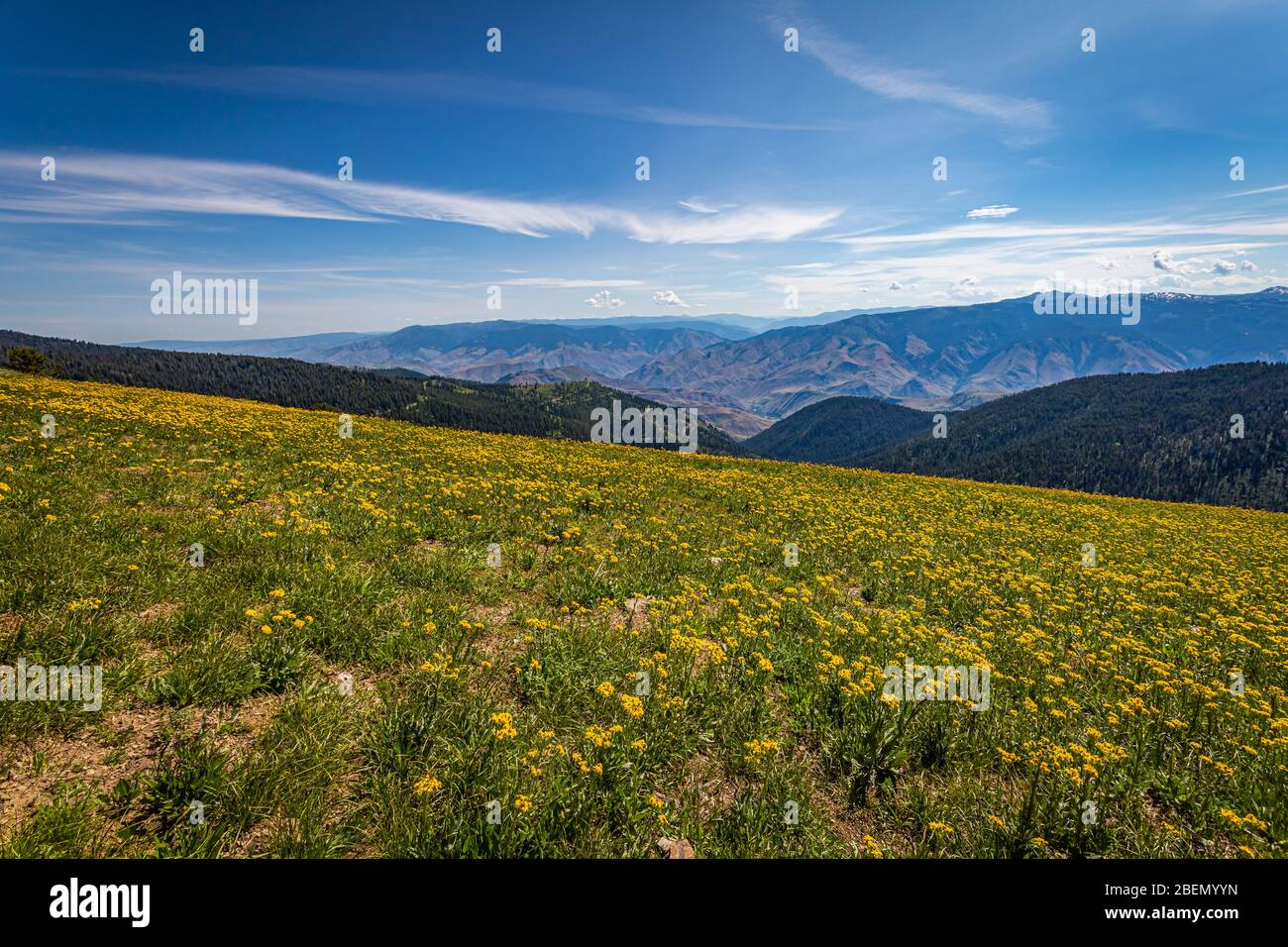 The Heaven's Gate Vista overlooks the Seven Devils Mountain and the ...
