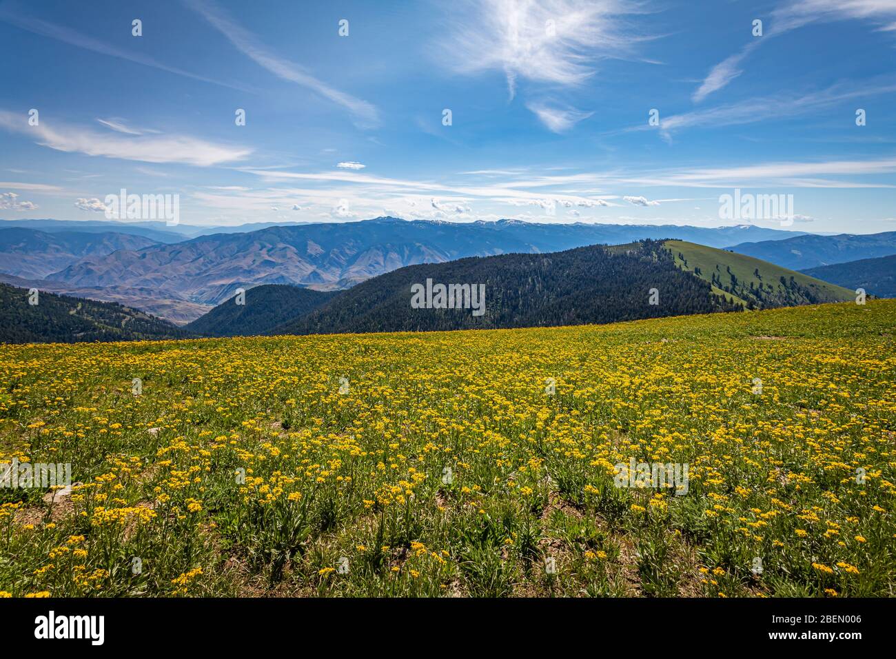 The Heaven's Gate Vista overlooks the Seven Devils Mountain and the ...