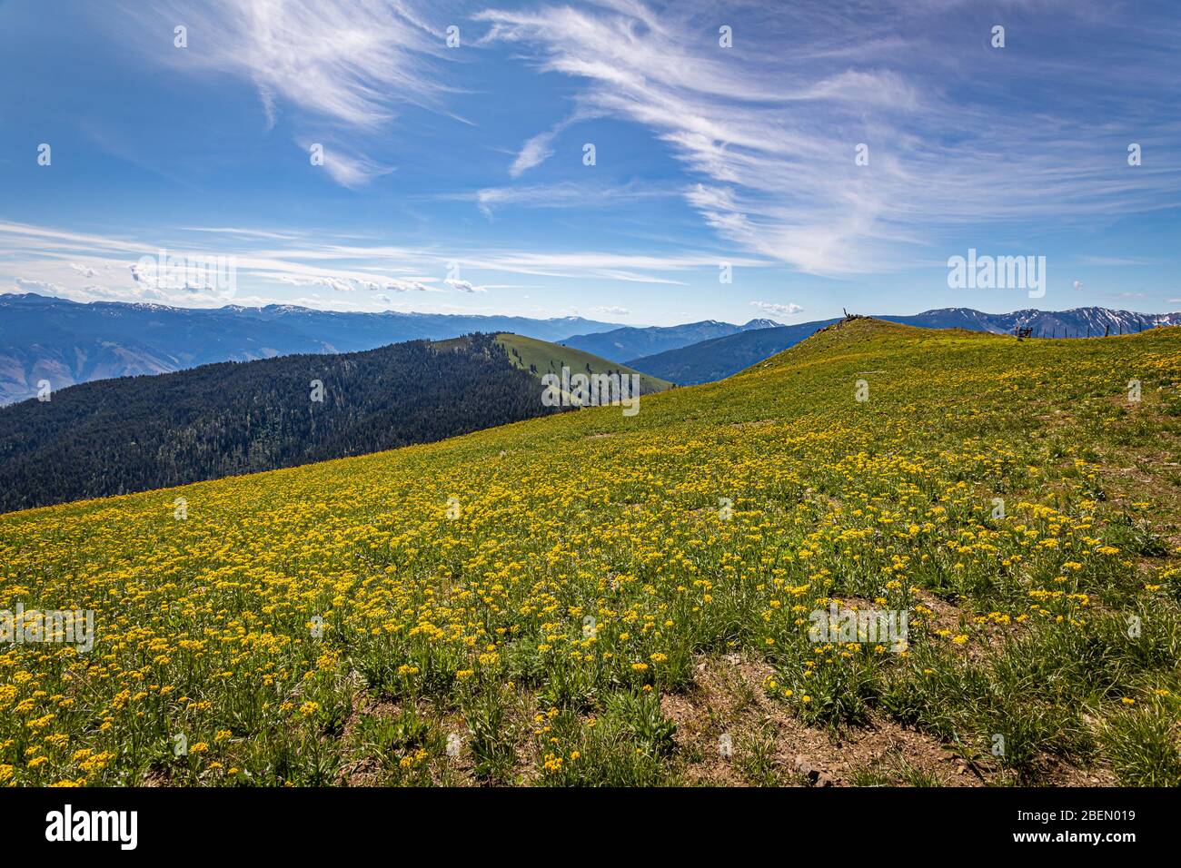 The Heaven's Gate Vista overlooks the Seven Devils Mountain and the ...