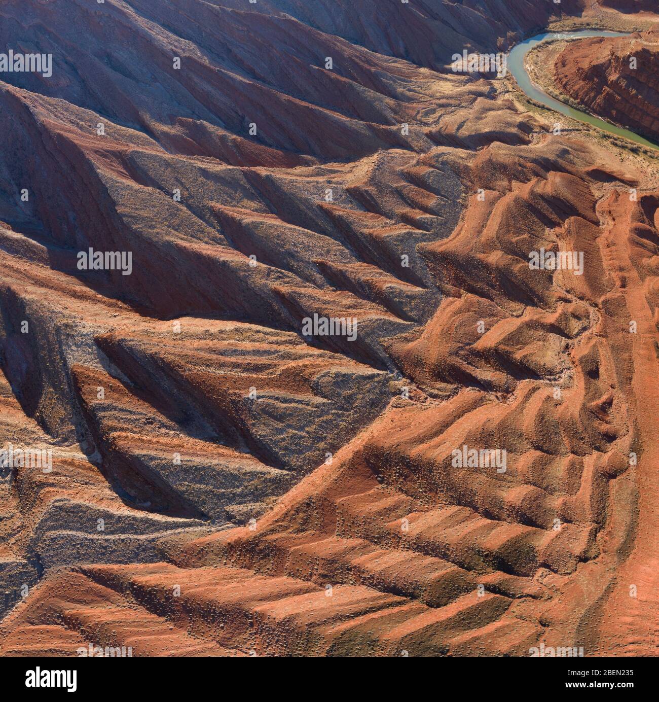 The Raplee Anticline and San Juan River in aerial over Utah desert ...