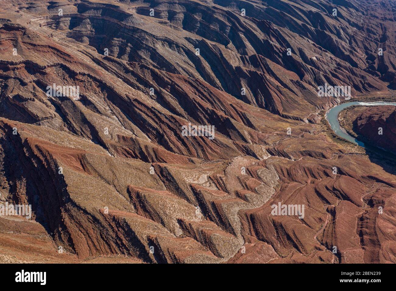 The Raplee Anticline, unique Geology aerial in southern Utah Stock ...