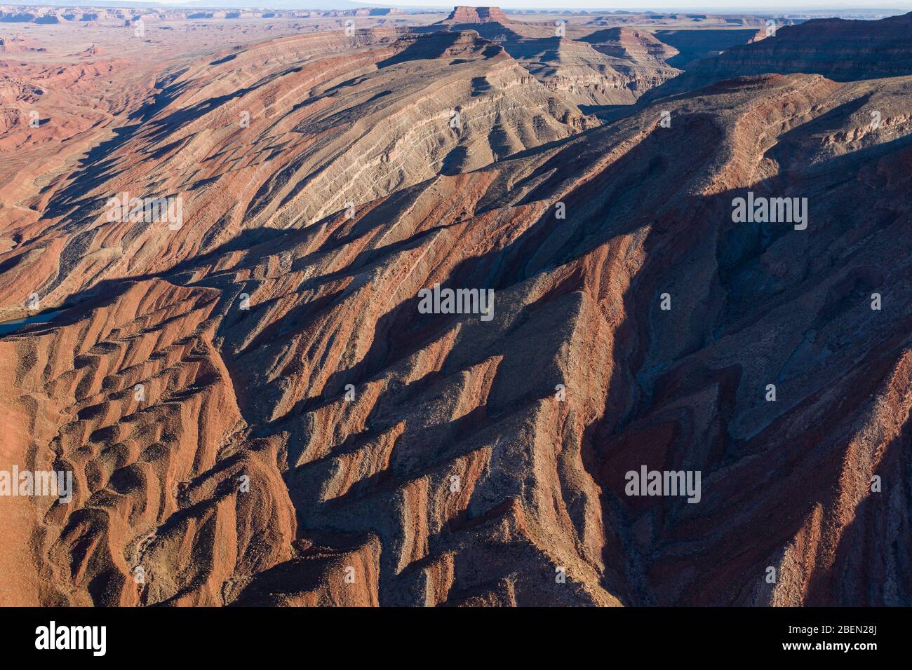 The Raplee Anticline and San Juan River in aerial over Utah desert ...