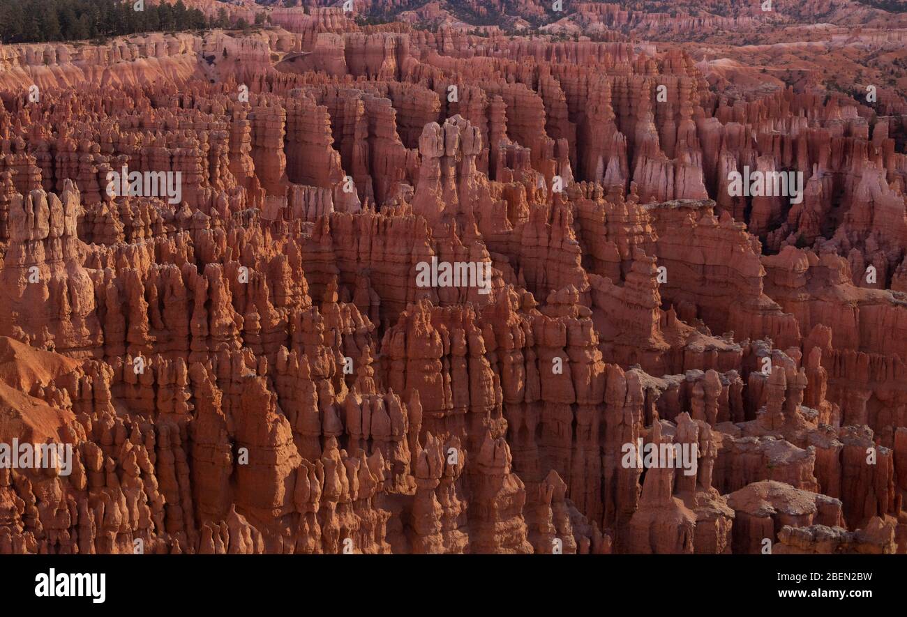 Formations under full moon hi-res stock photography and images - Alamy