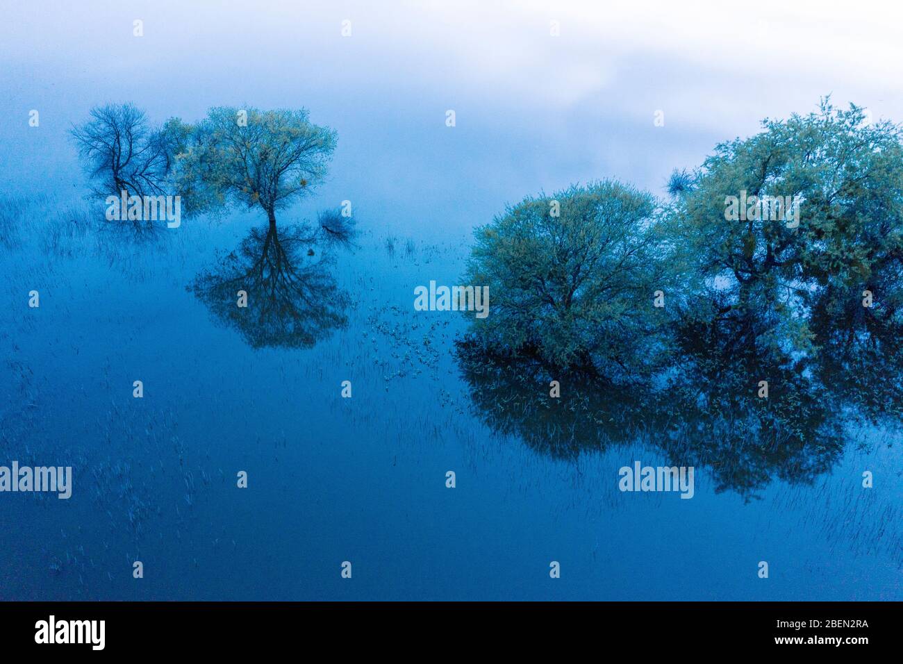 Green tree reservoir hi-res stock photography and images - Alamy