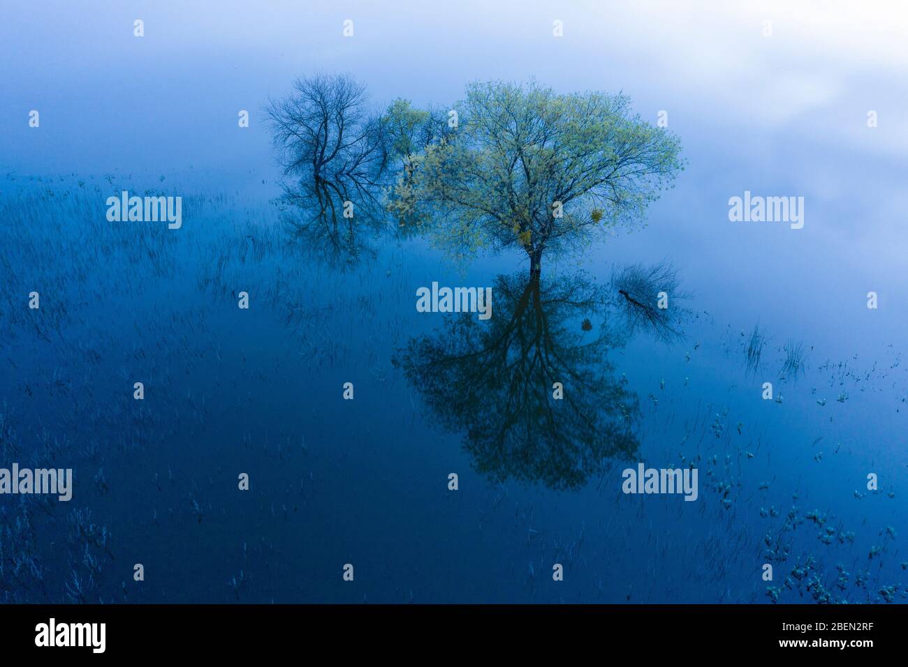 Green tree reservoir hi-res stock photography and images - Alamy