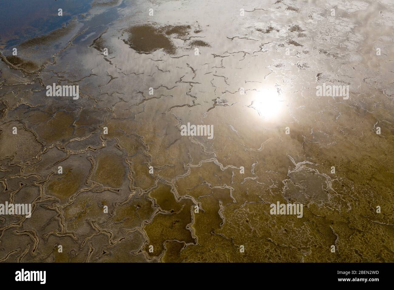 Sun Reflecting off Water in SF Bay Marshland Stock Photo - Alamy