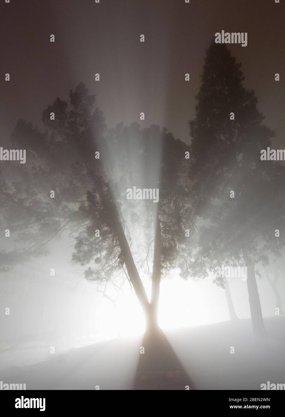 Mount wilson hi-res stock photography and images - Alamy