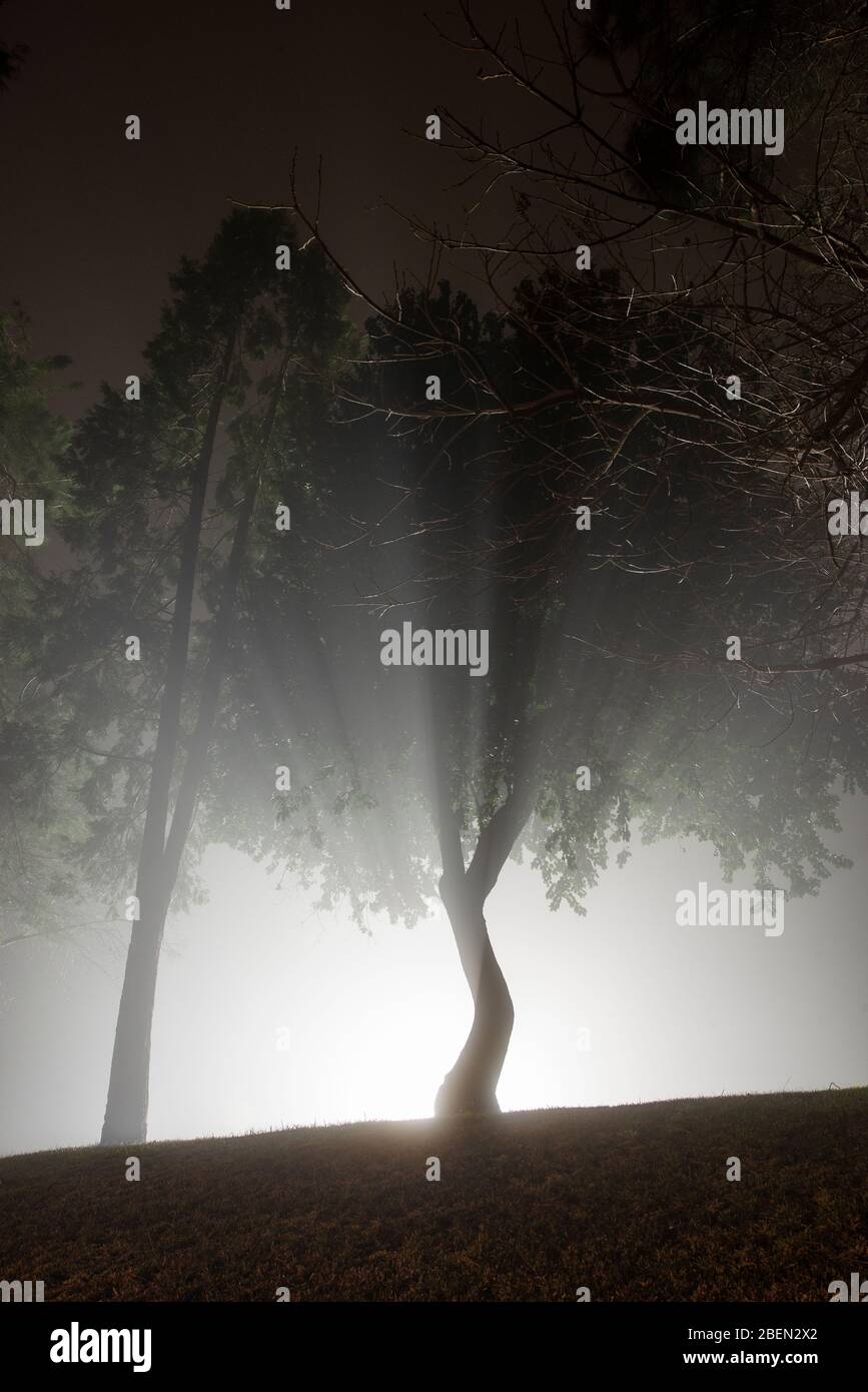 Mount wilson hi-res stock photography and images - Alamy