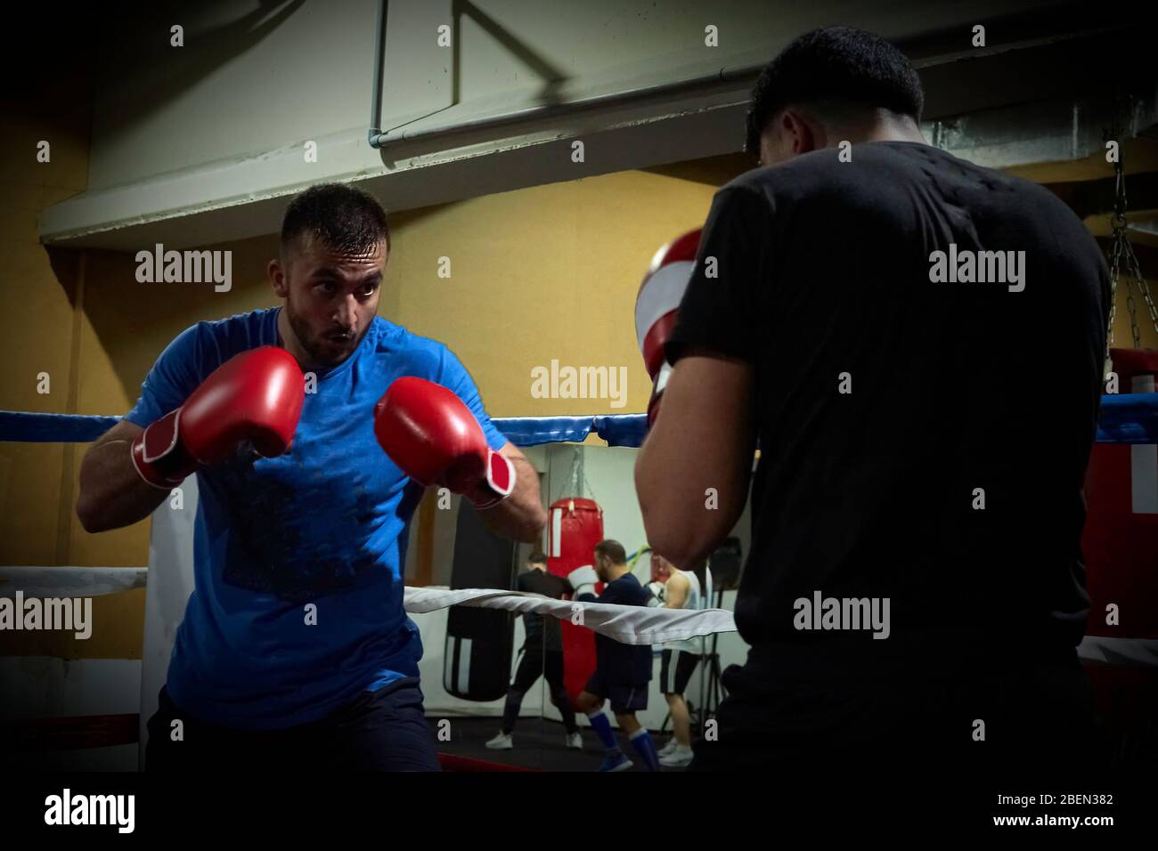 Two boxers training on a gym ring Stock Photo - Alamy