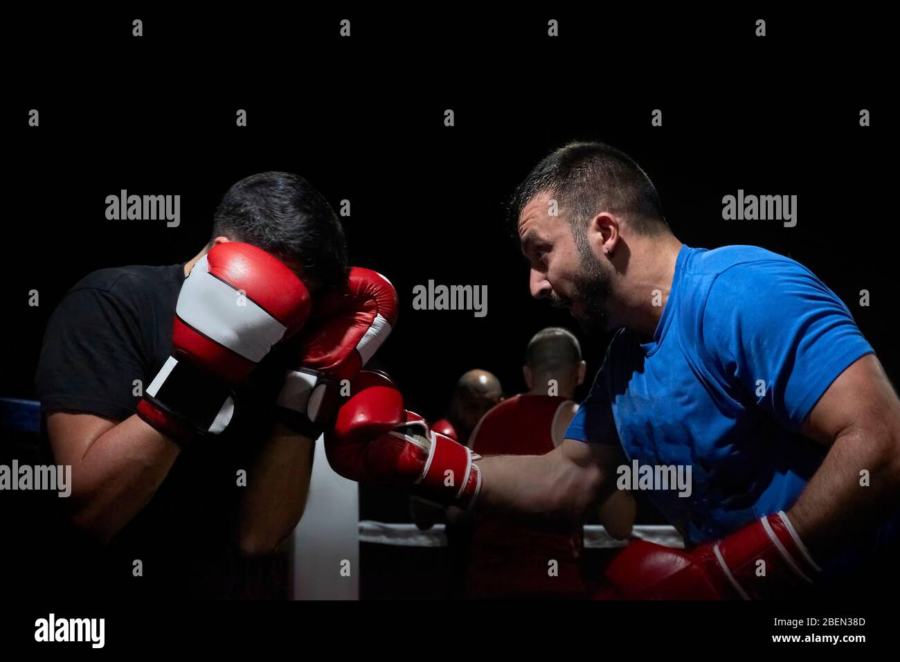 Two boxers training on a gym ring Stock Photo - Alamy