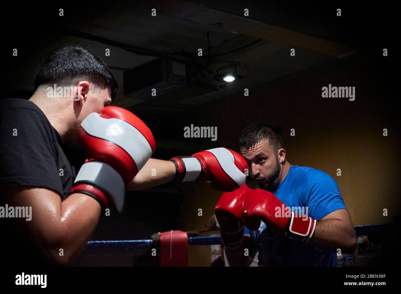Two boxers training on a gym ring Stock Photo - Alamy
