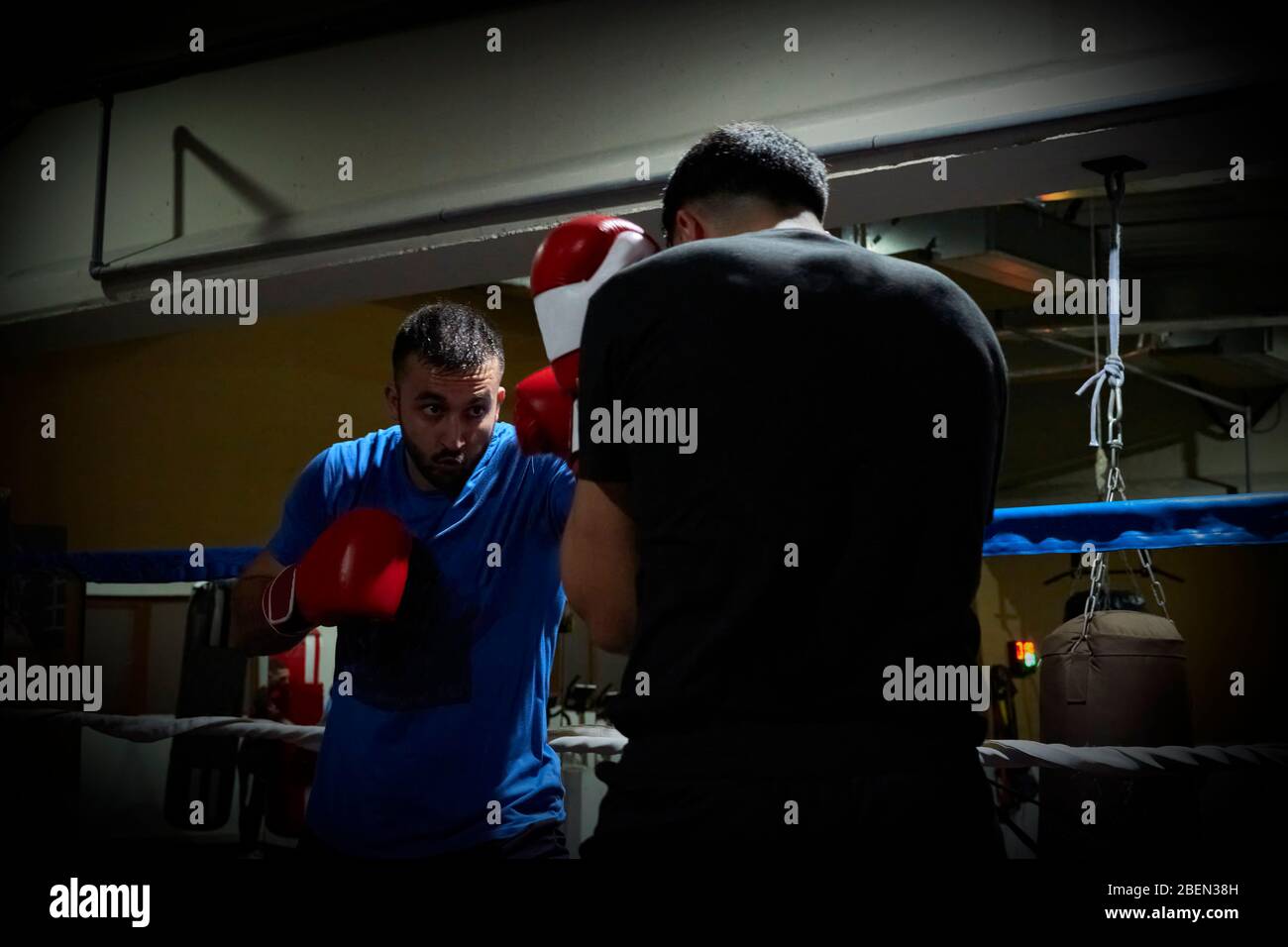 Two boxers training on a gym ring Stock Photo - Alamy