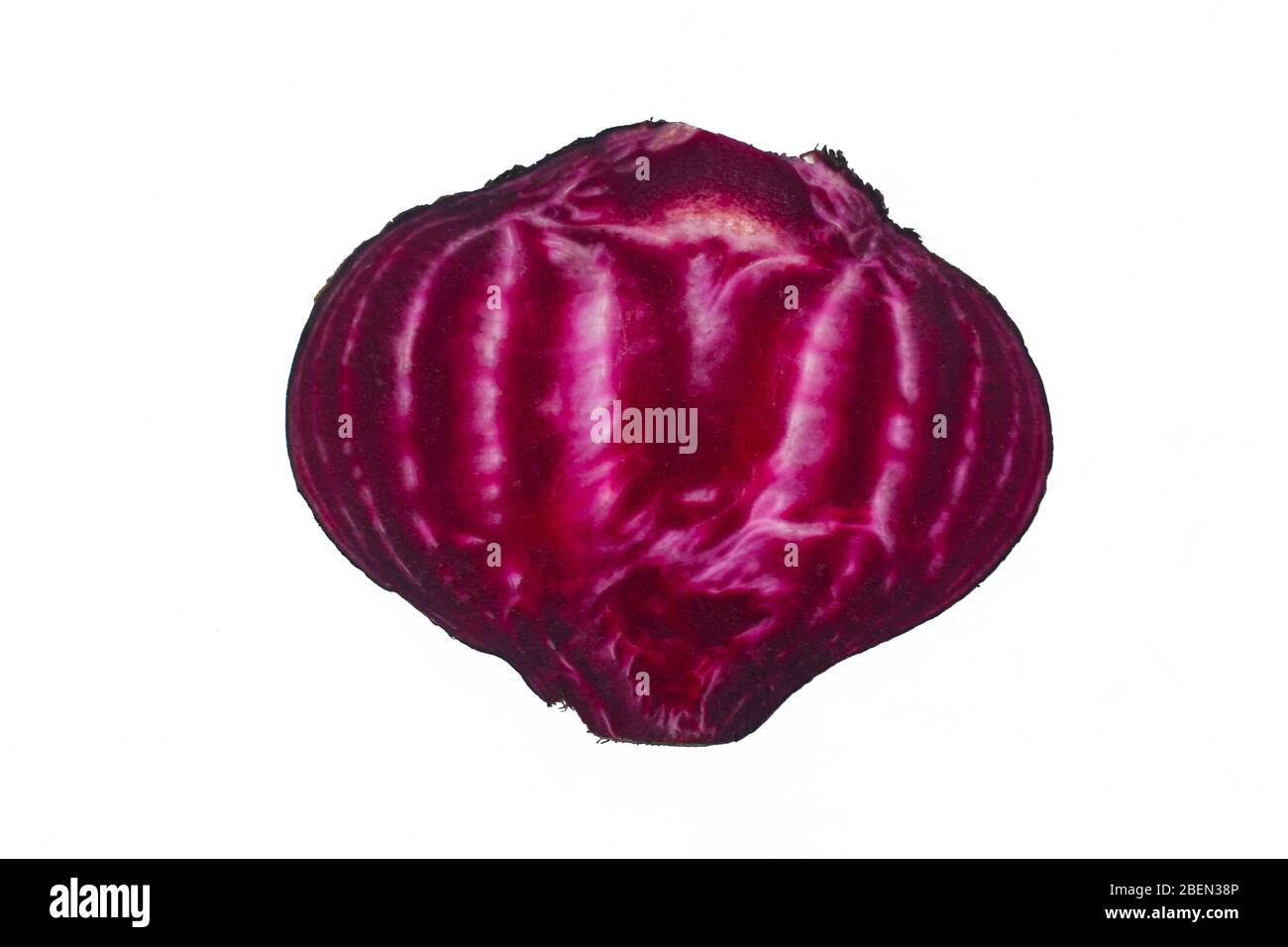 One single red colored cabbage placed on a white isolated empty paper ...