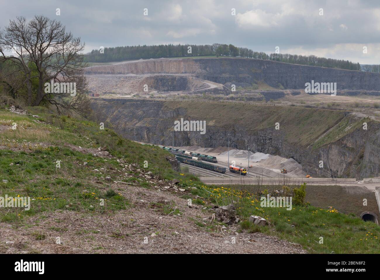Freightliner class 66 locomotive 66419 stabled in the sidings at ...