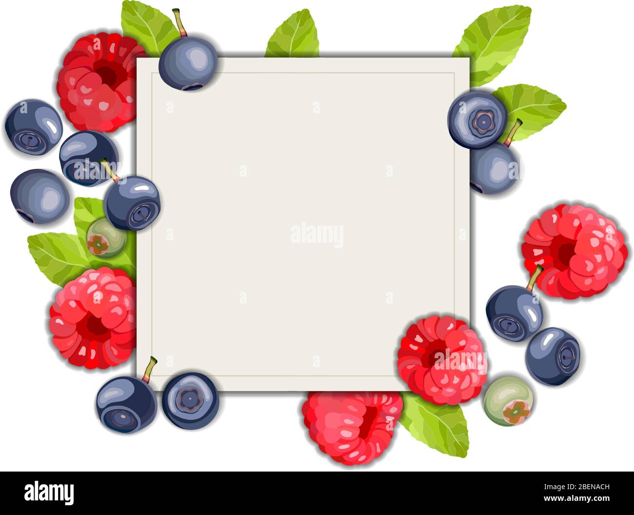 Blueberry and raspberry on a white background, leaves and berries frame ...