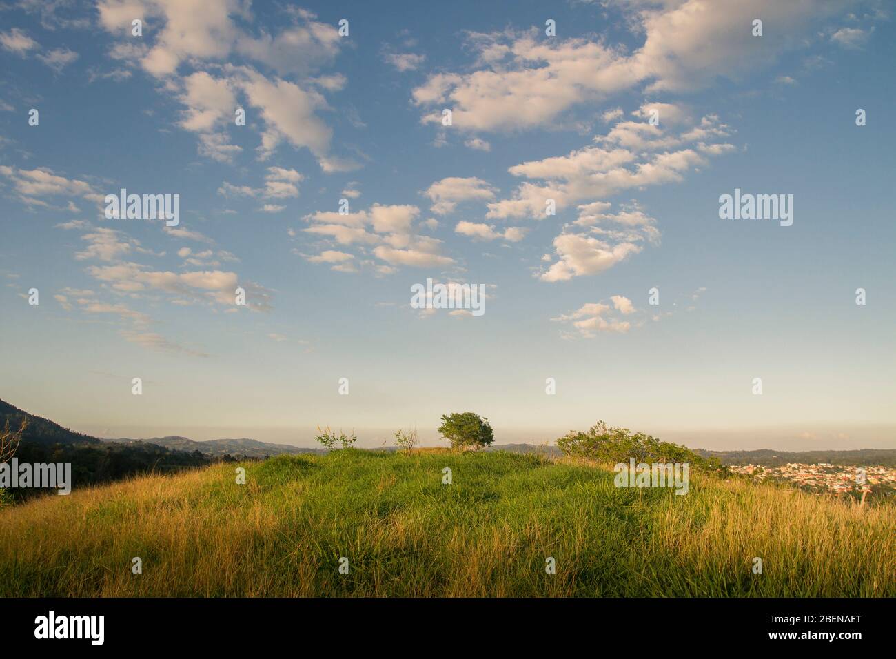 summer sky and high (altocumulus) clouds landscape and low horizon ...