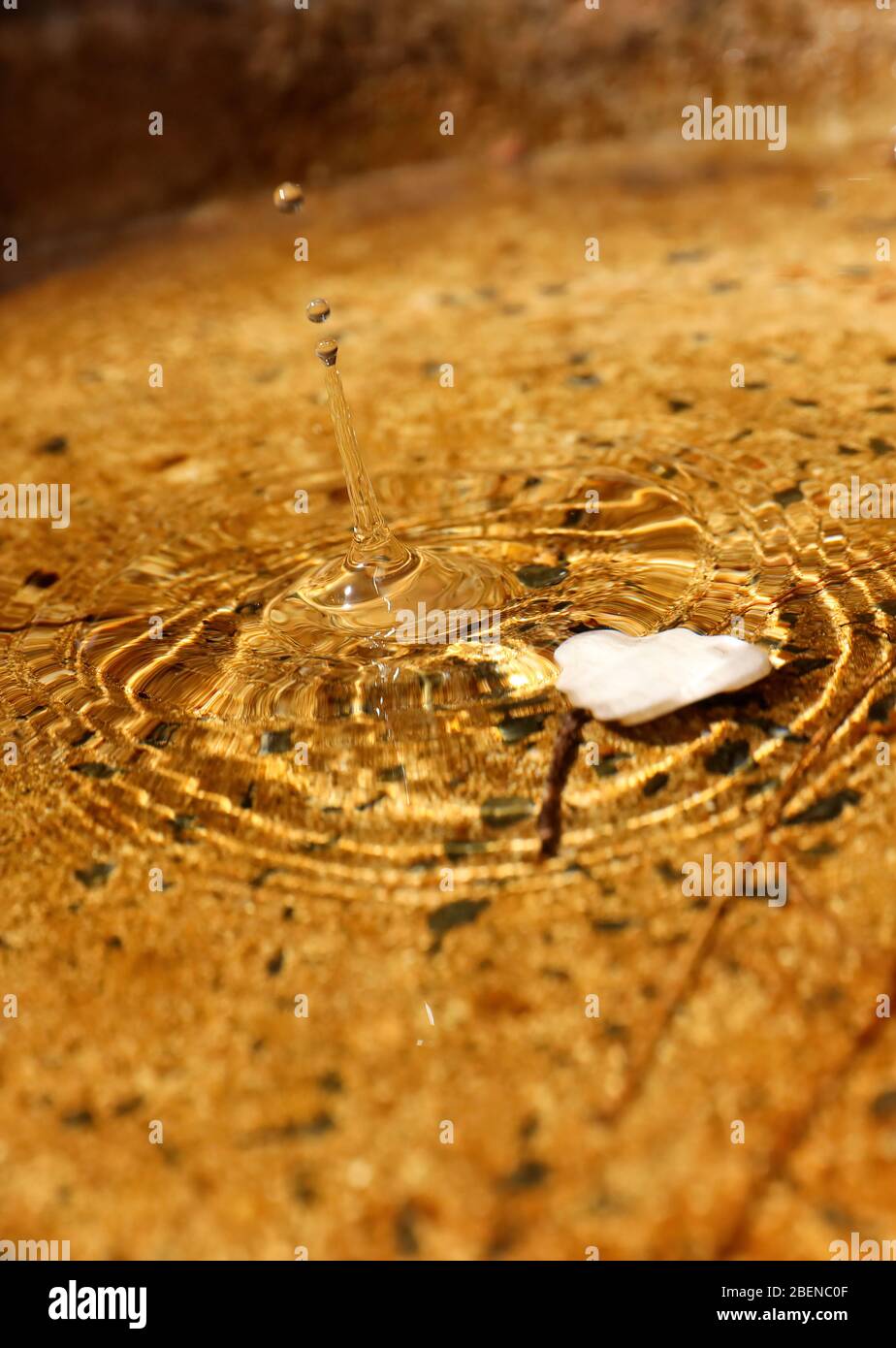 Water in the birdbath captured splashing and droplets frozen in time ...