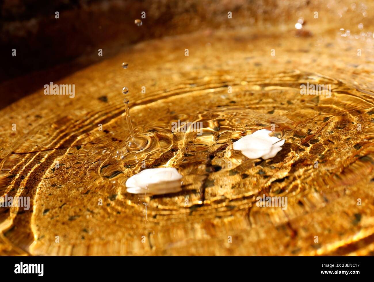 Water in the birdbath captured splashing and droplets frozen in time ...