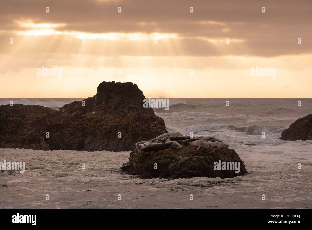 Sunset at Seal Rock, Oregon Stock Photo - Alamy