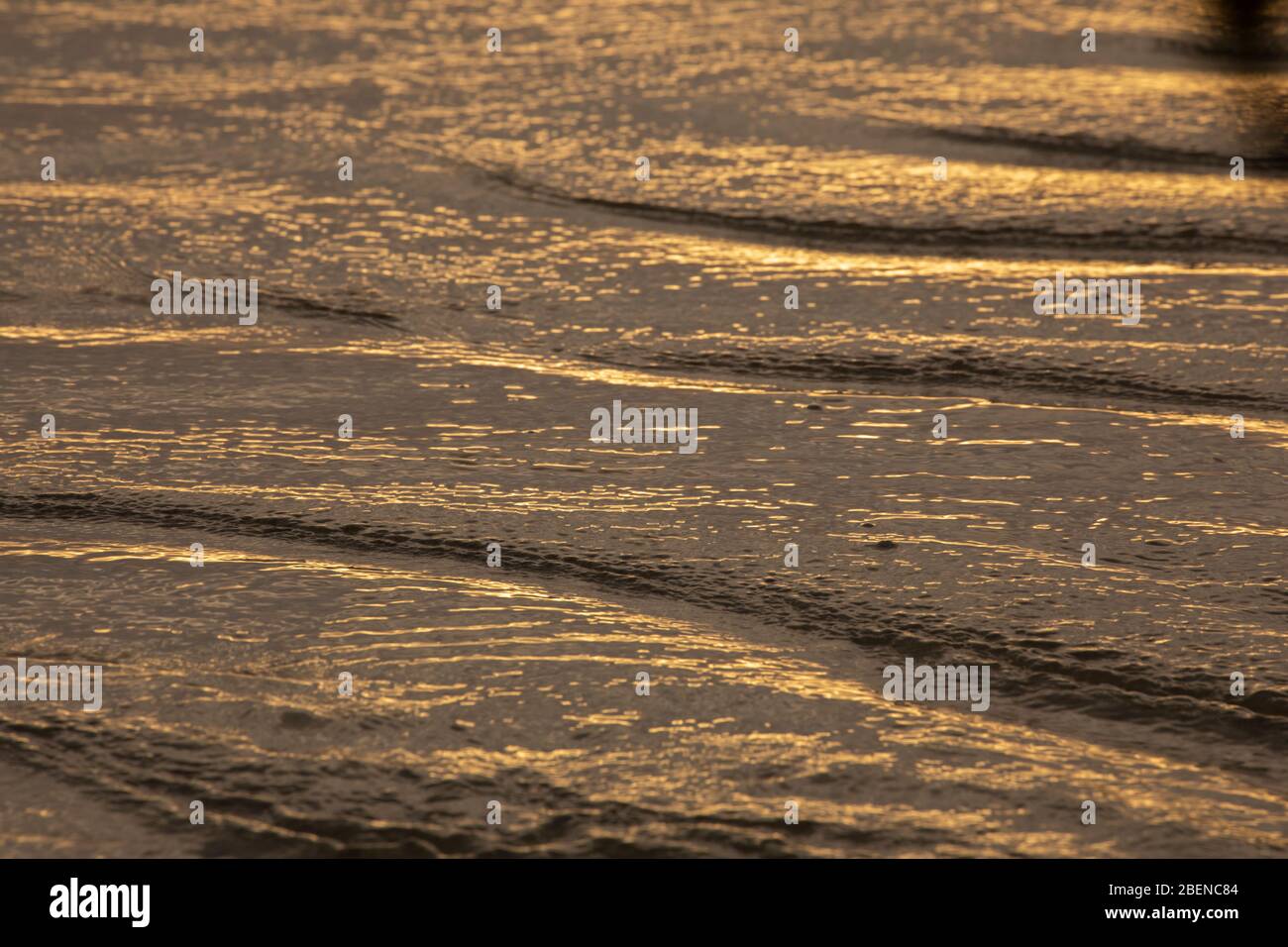 water ripples along beach during sunset at Seal Rock, Oregon Stock ...