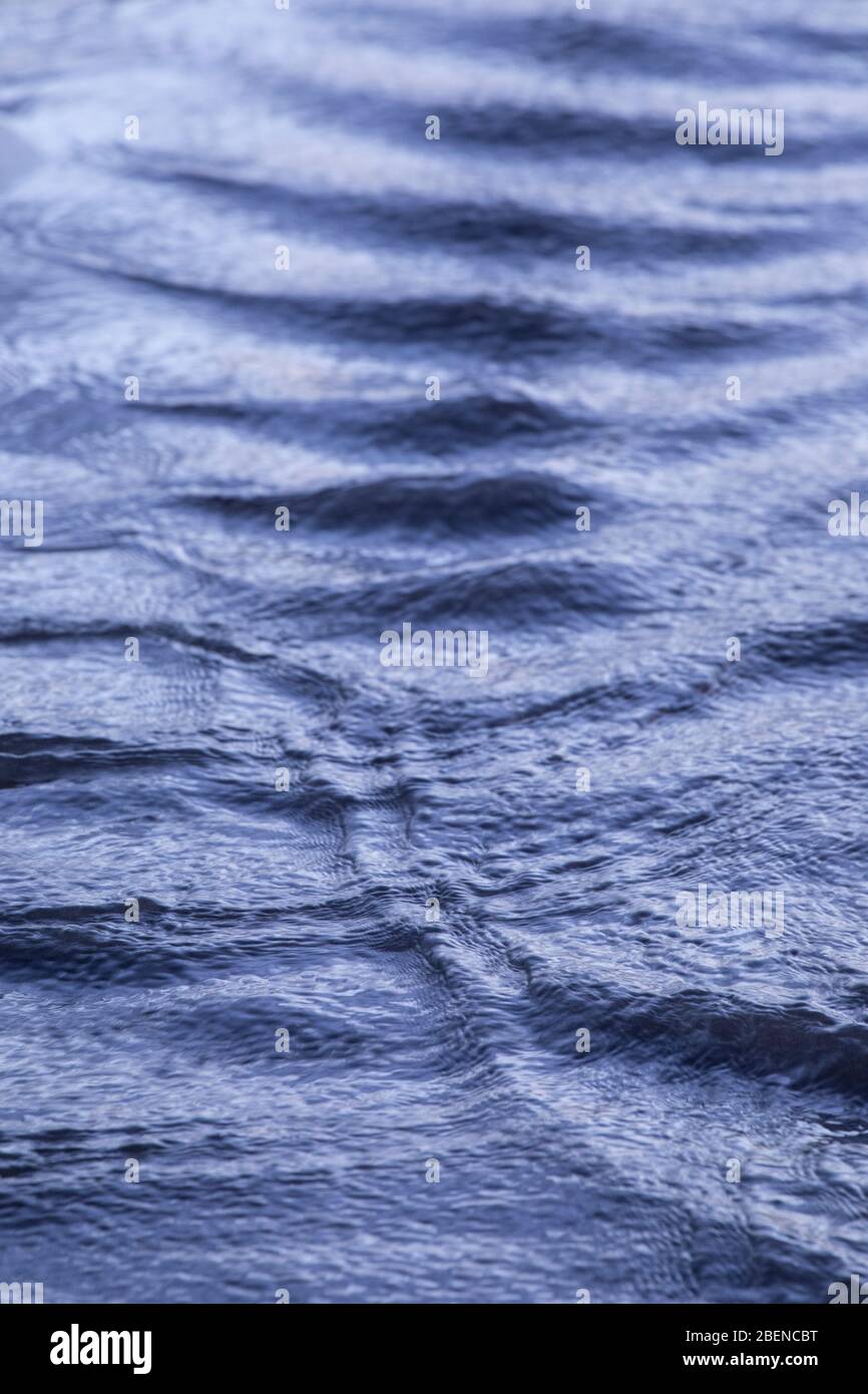 Water ripples along beach during sunset at Seal Rock, Oregon Stock ...