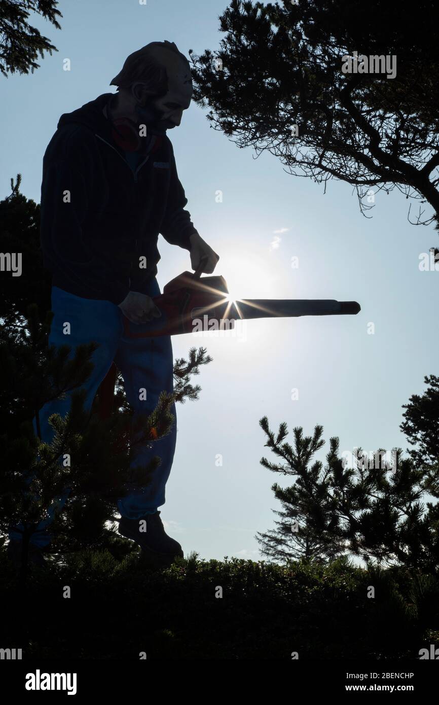 Man with chainsaw cutting down trees in Oregon Stock Photo - Alamy