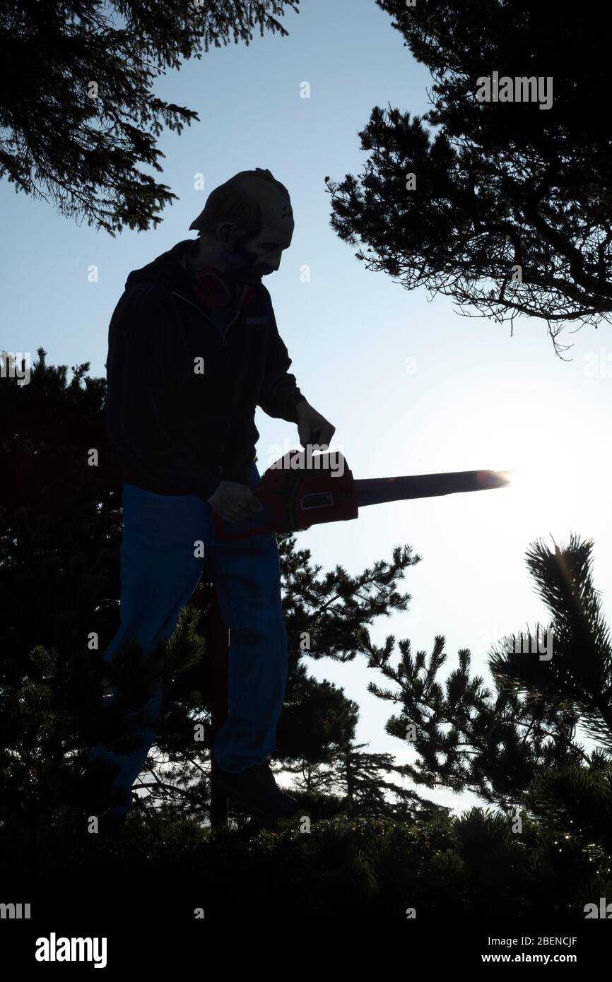 Man with chainsaw cutting down trees in Oregon Stock Photo - Alamy