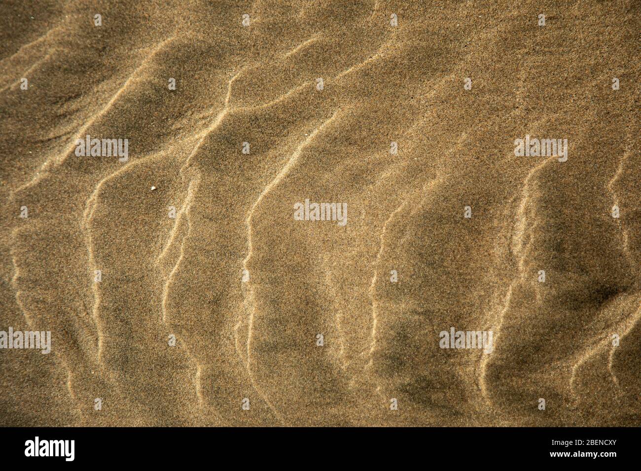 Oregon coast beach sand Stock Photo - Alamy