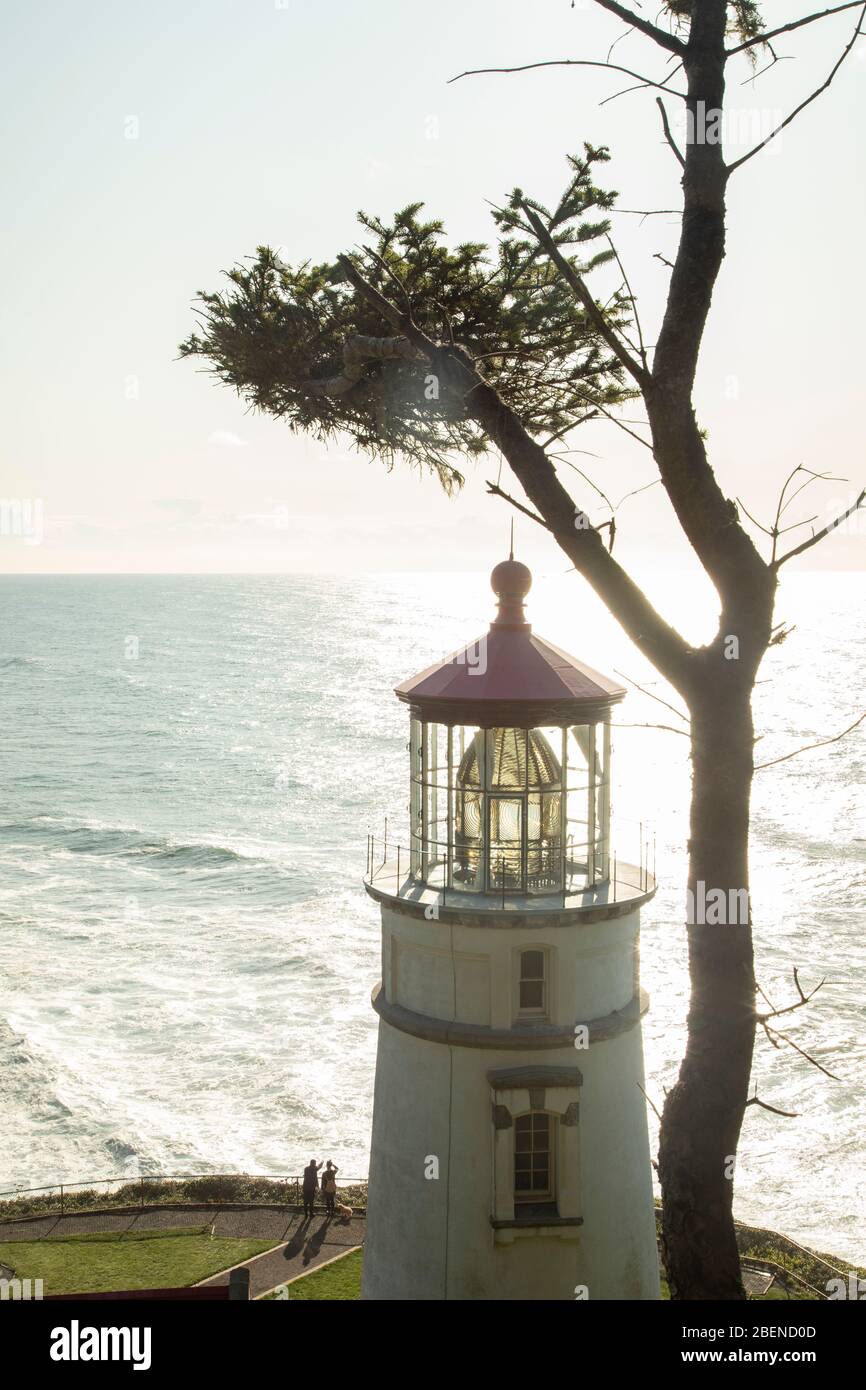 Heceta Head Lighthouse on the Oregon Coast Stock Photo - Alamy