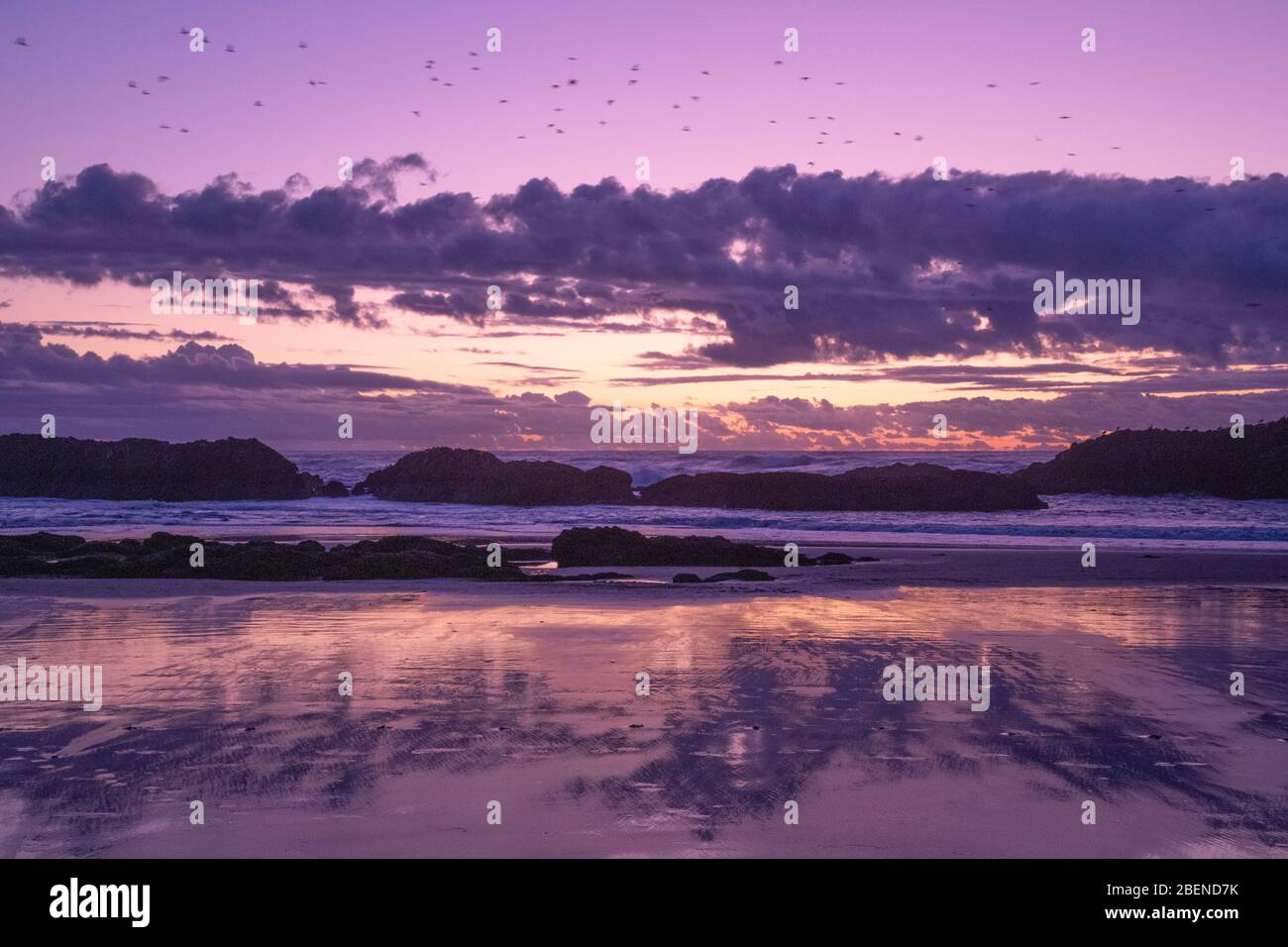 Sunset at Seal Rock State Park on the central Oregon Coast Stock Photo ...