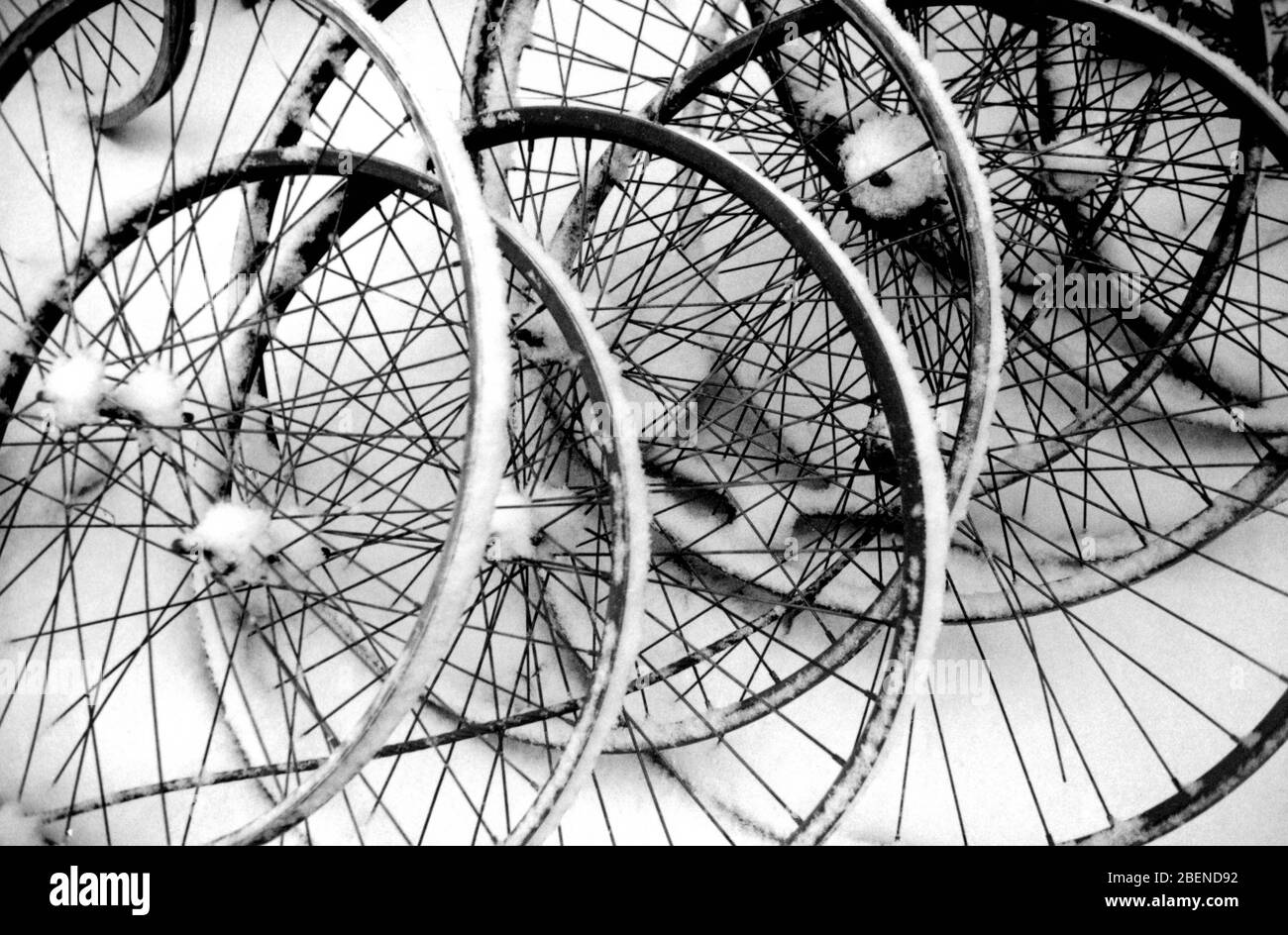 Single wheel in snow Stock Photo - Alamy