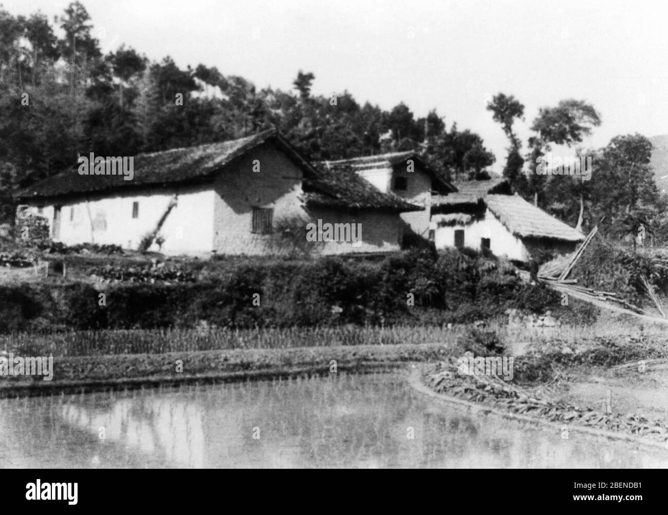 Mao shaoshan hi-res stock photography and images - Alamy